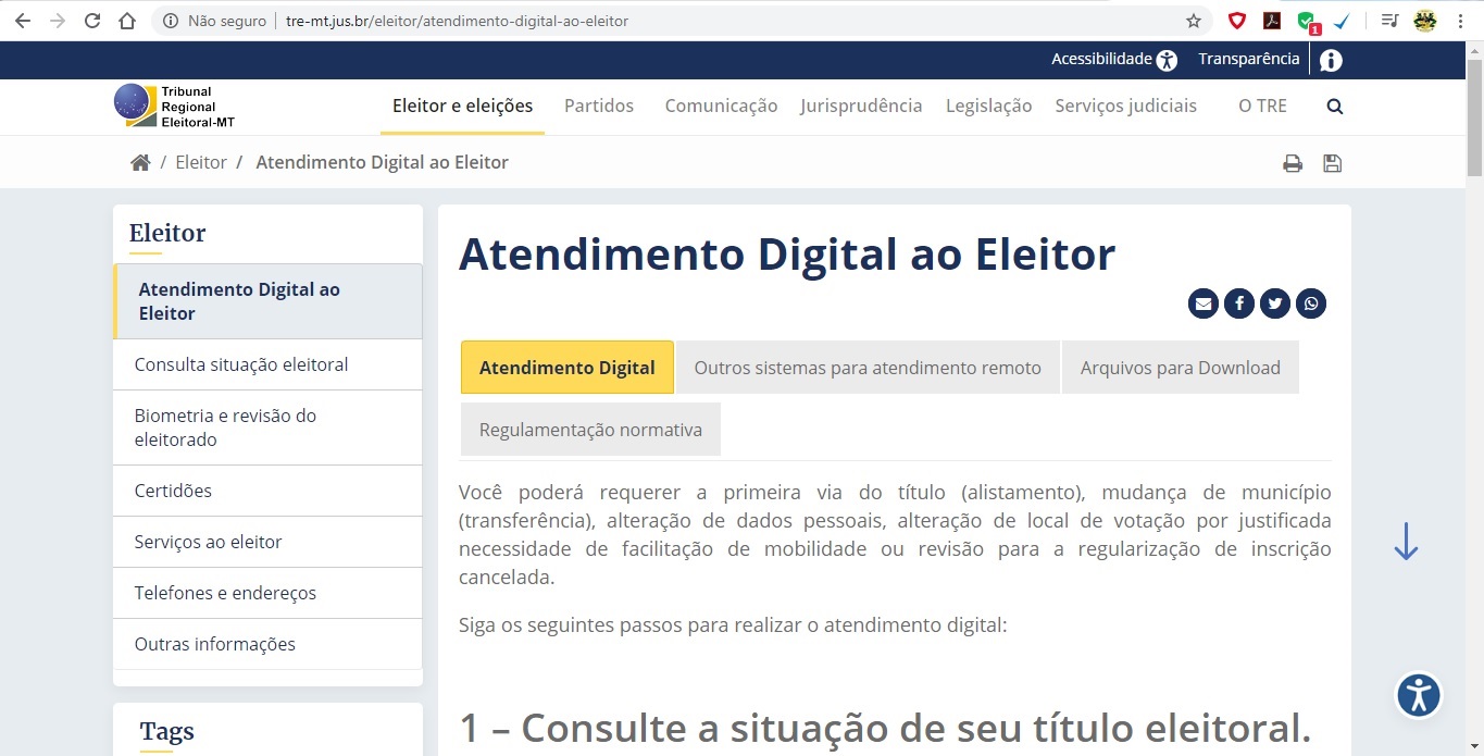 TRE-MT oferece atendimento online para emissão, transferência e revisão ...
