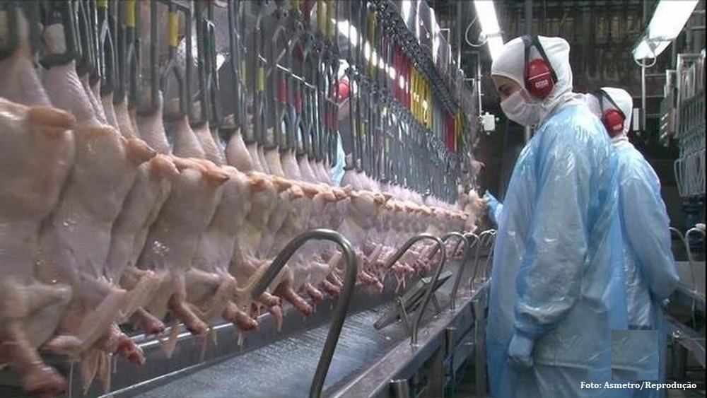 Momento Agrícola: Exportações de frango, taxação do arroto e ...